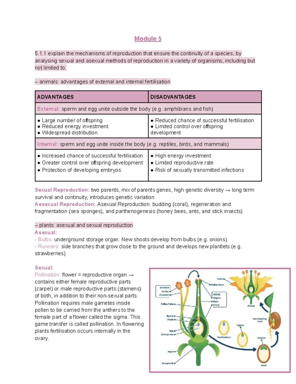HSC BIO Notes: Mechanisms of Reproduction & Genetic Continuity ...