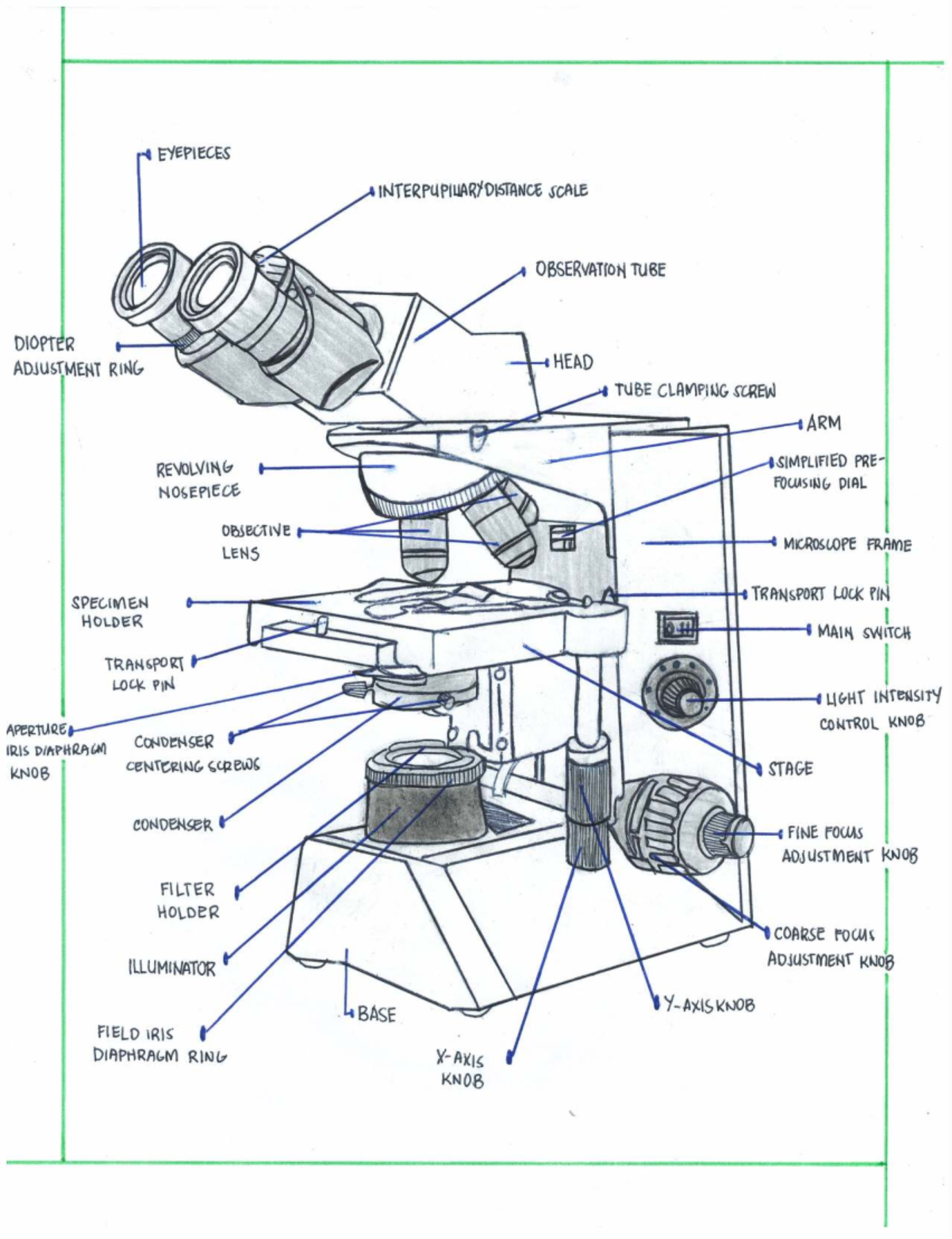 Microscope Parts and Functions - ANAP 101 Overview - Studocu