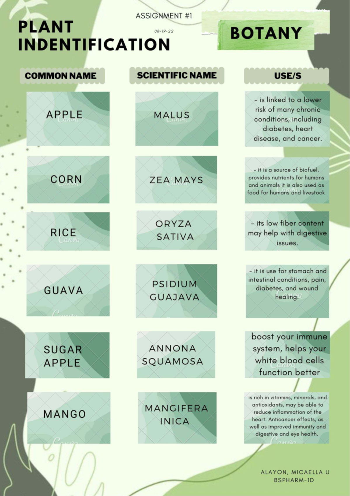 PLANT BOTANY ASSIGNMENT: COMMON & SCIENTIFIC NAMES - Studocu