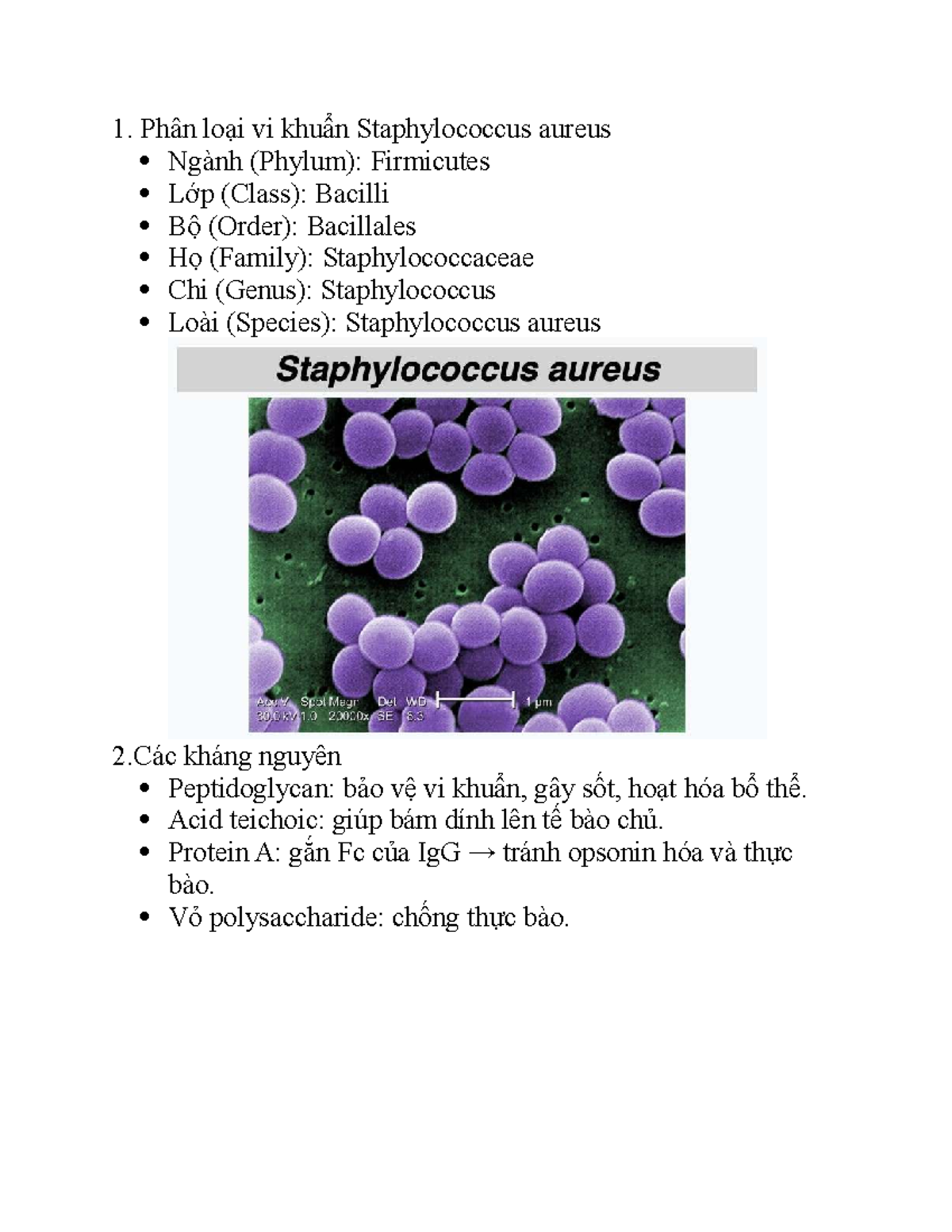 Phân loại và kháng nguyên của Staphylococcus aureus - Studocu