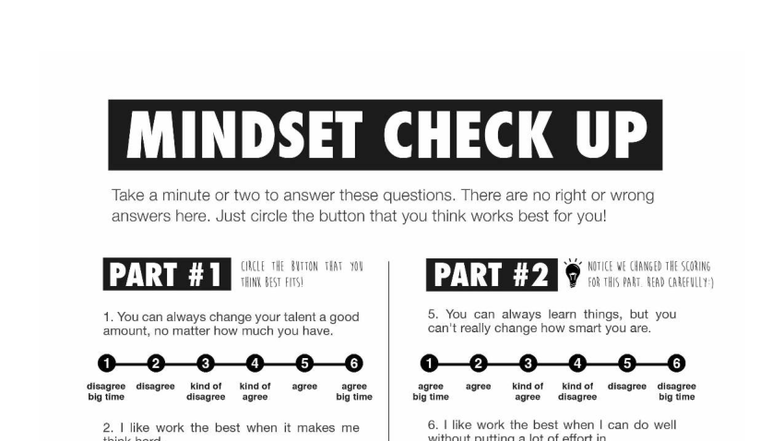 MINDSET ASSESSMENT: Self-Reflection Questionnaire - Studocu