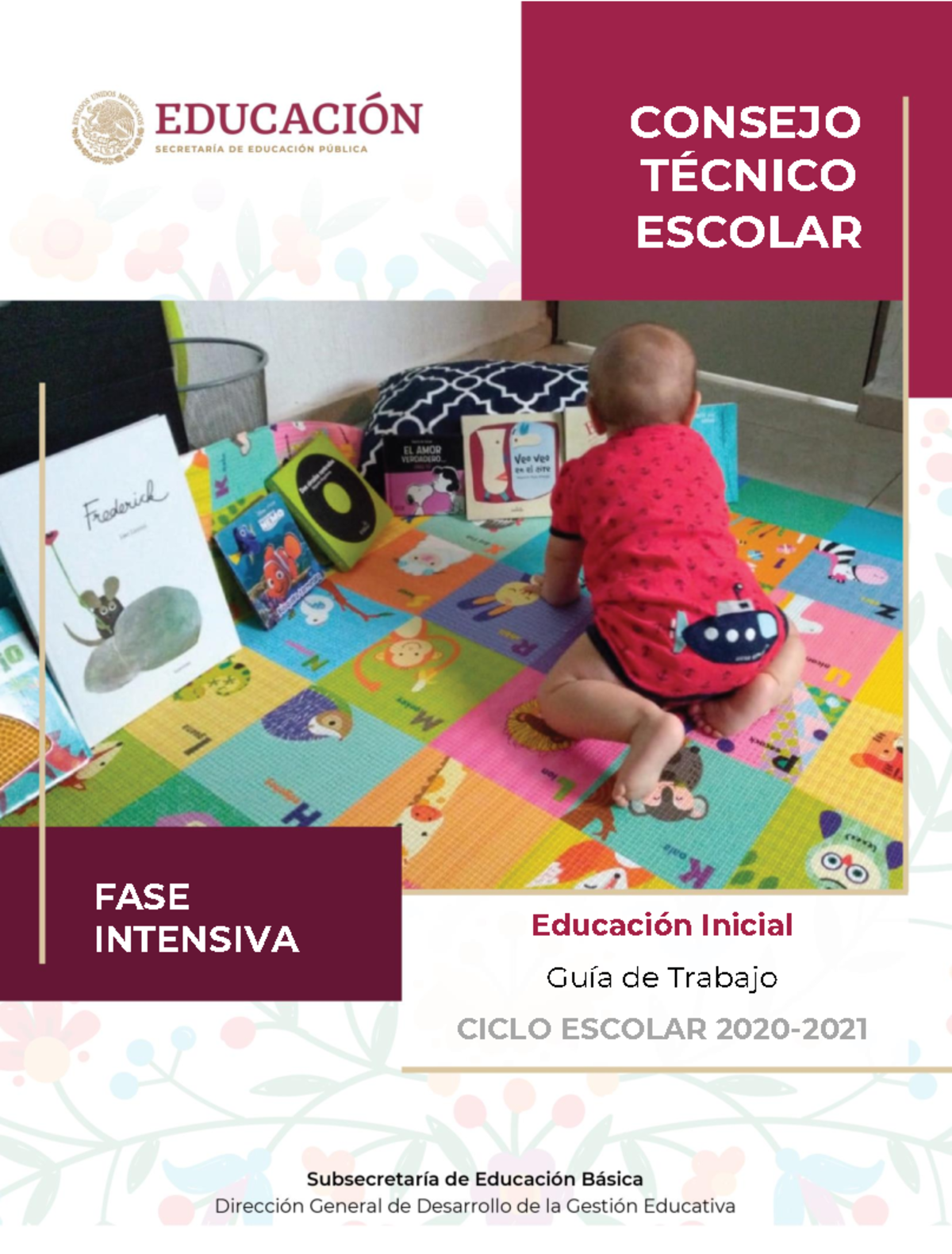 3. Gua Fase Intensiva Inicial CTE 2020-2021 - CONSEJO TÉCNICO ESCOLAR ...