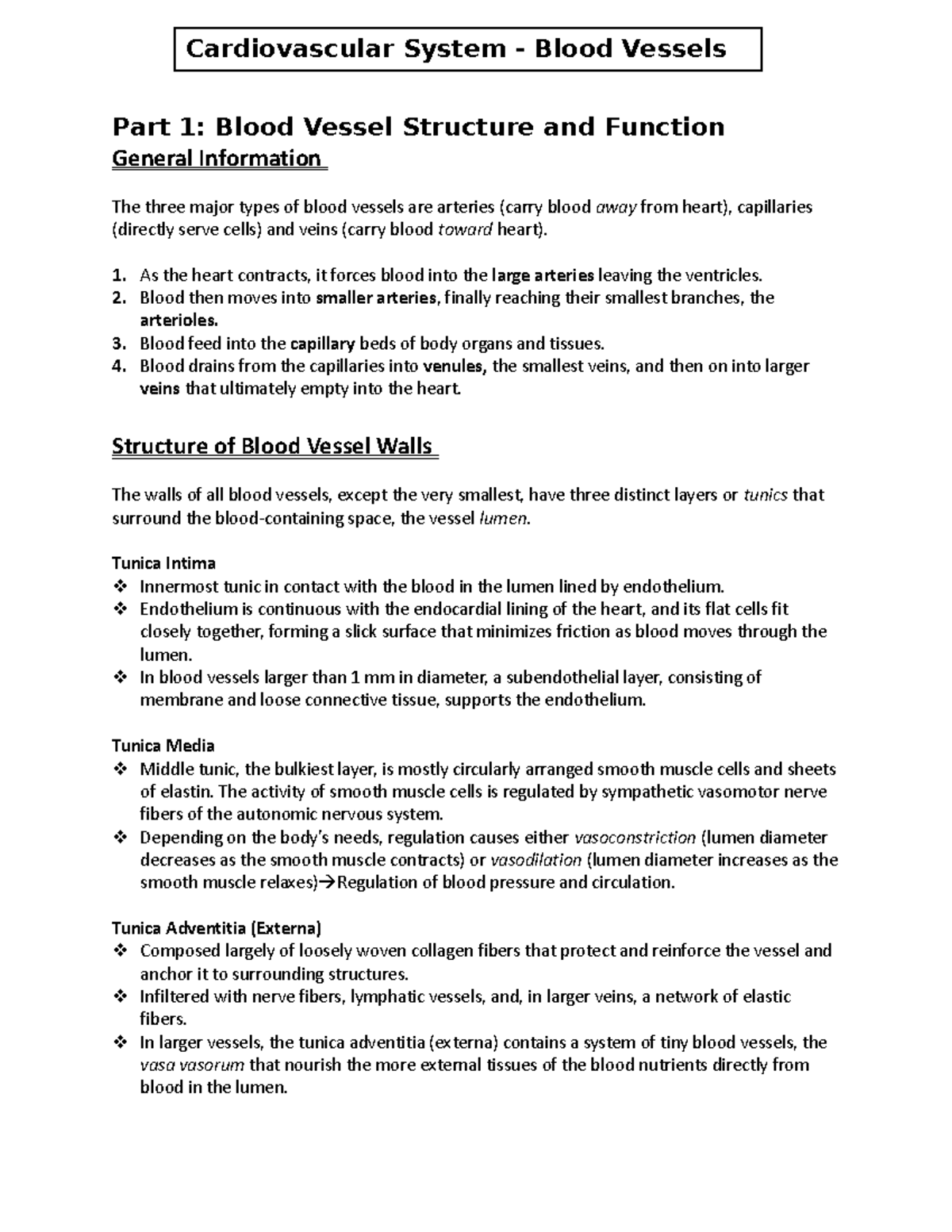 **Cardiovascular System (Blood Vessels) - Detailed Overview and ...