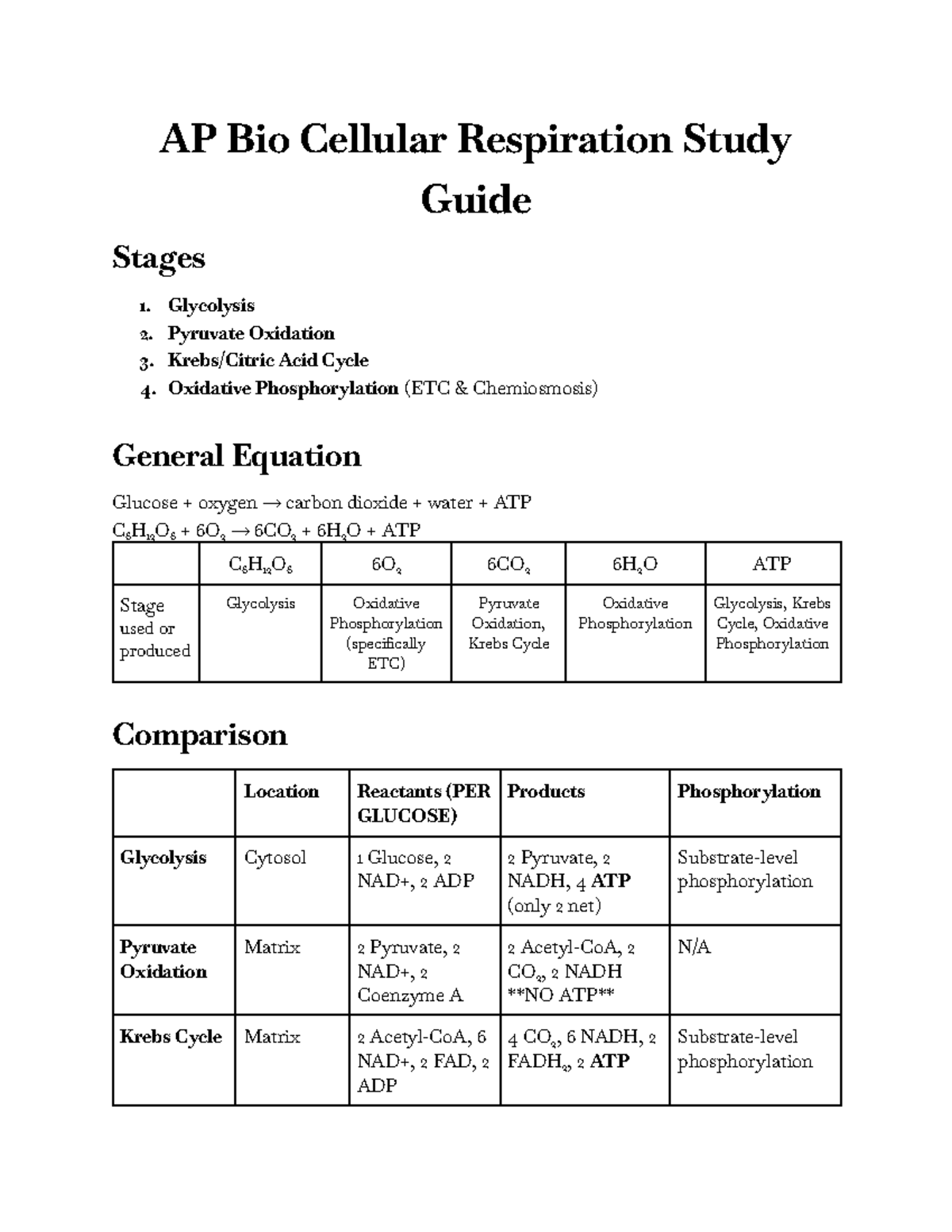 AP Bio Cellular Respiration Study Guide: Glycolysis to ETC - Studocu