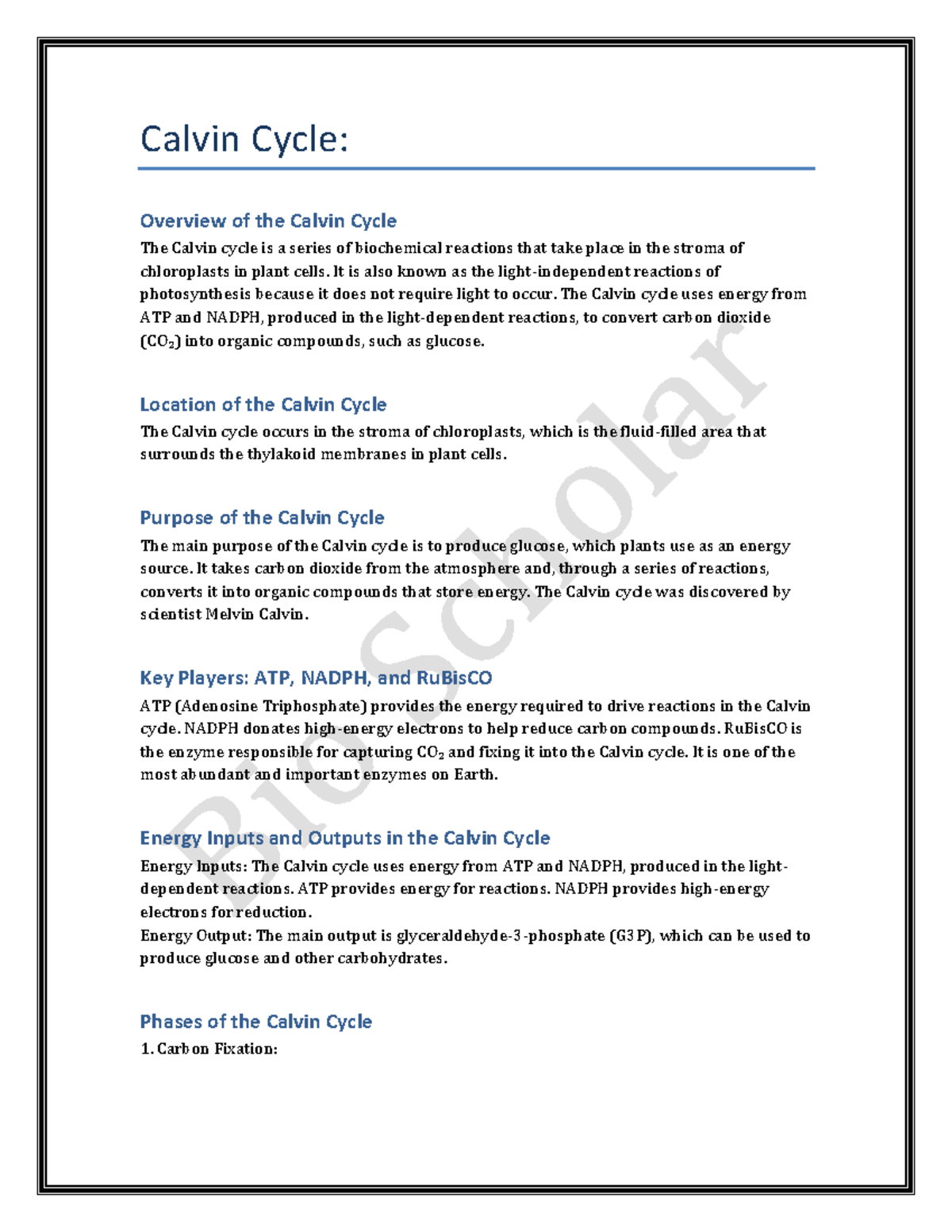 Calvin Cycle MS Lecture Notes: Key Processes & Components Explained ...