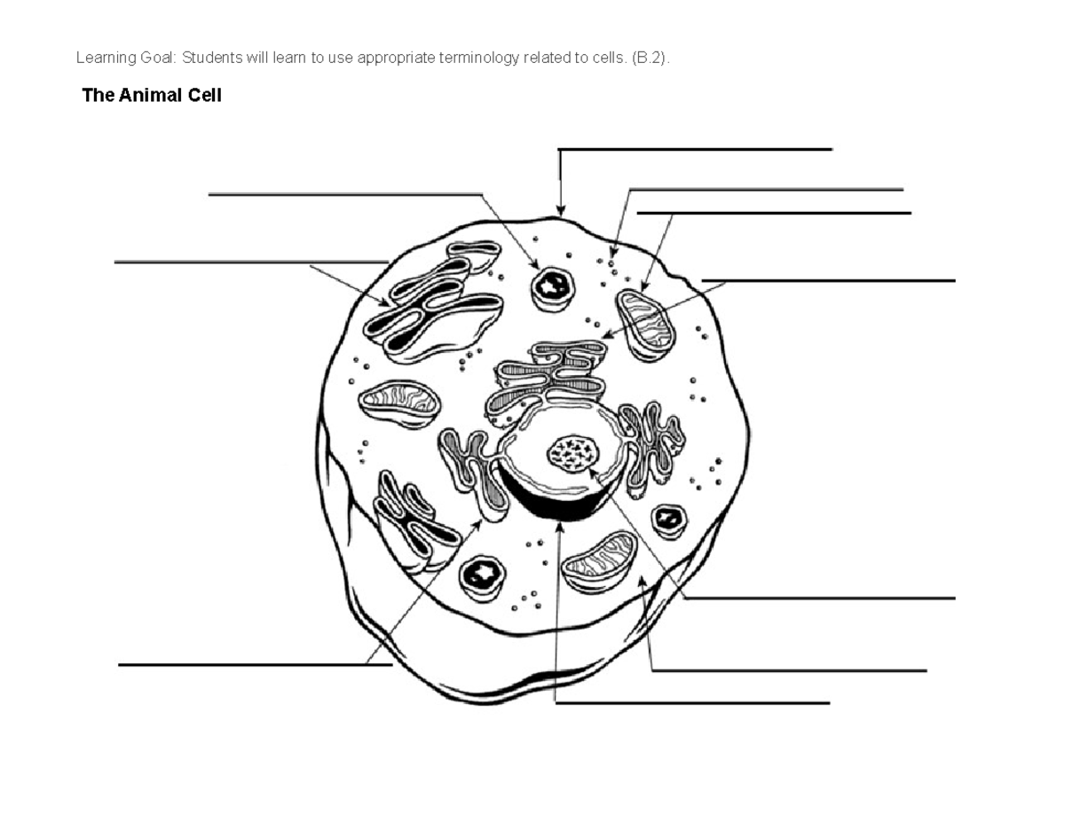 01 Animal vs Plant Cell Homework - Learning Goal: Students will learn ...