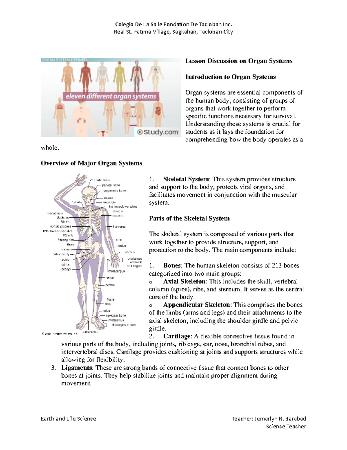 Organ Systems Overview: Key Functions & Components (Earth & Life Sci 11) - Studocu