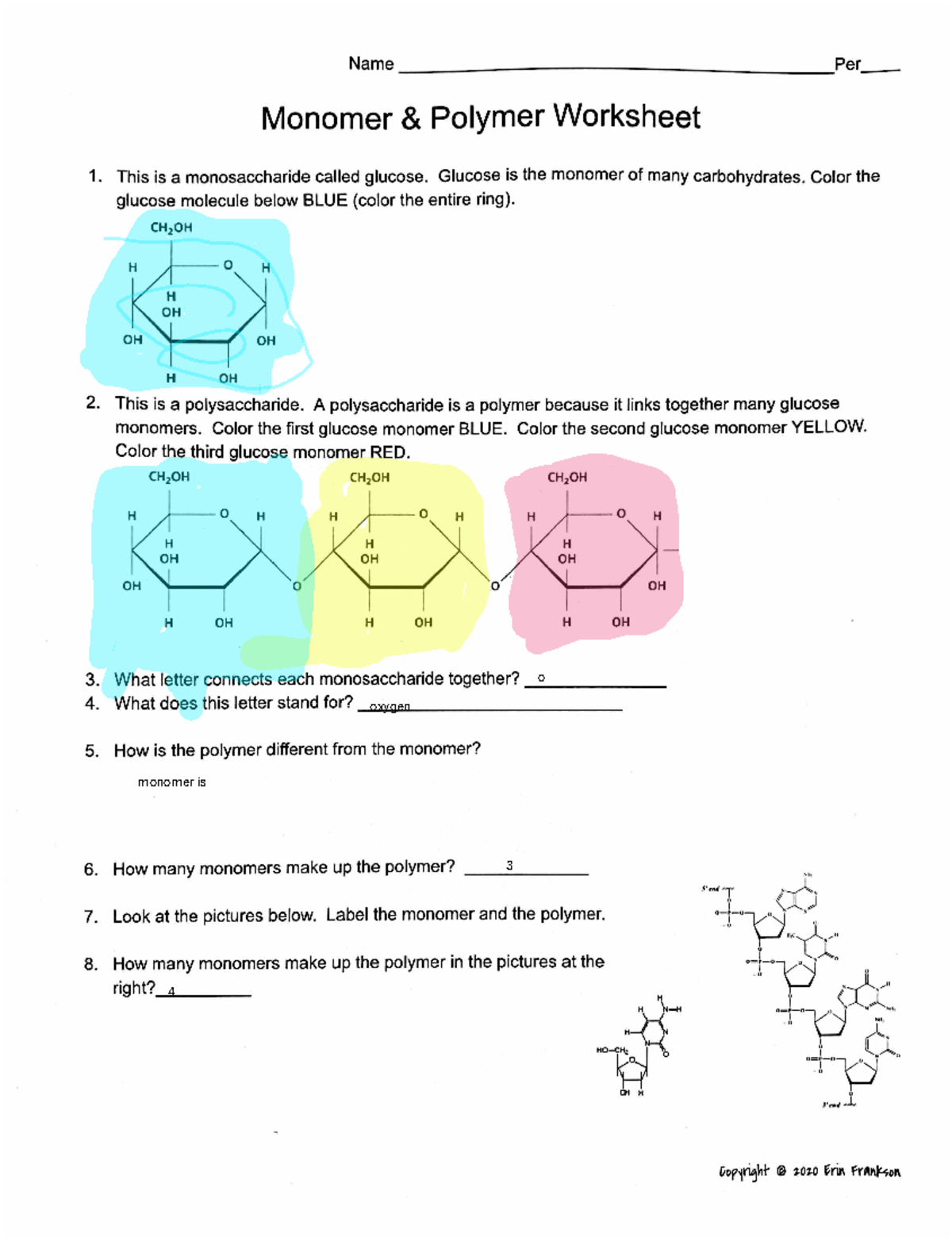 Monomers And Polymers Worksheet Answer Key