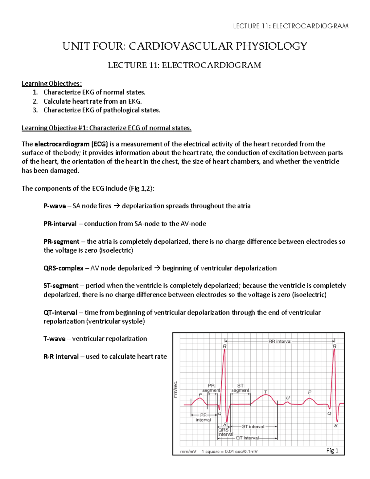 Lecture 11: Electrocardiogram in Cardiovascular Physiology (BIO 101 ...