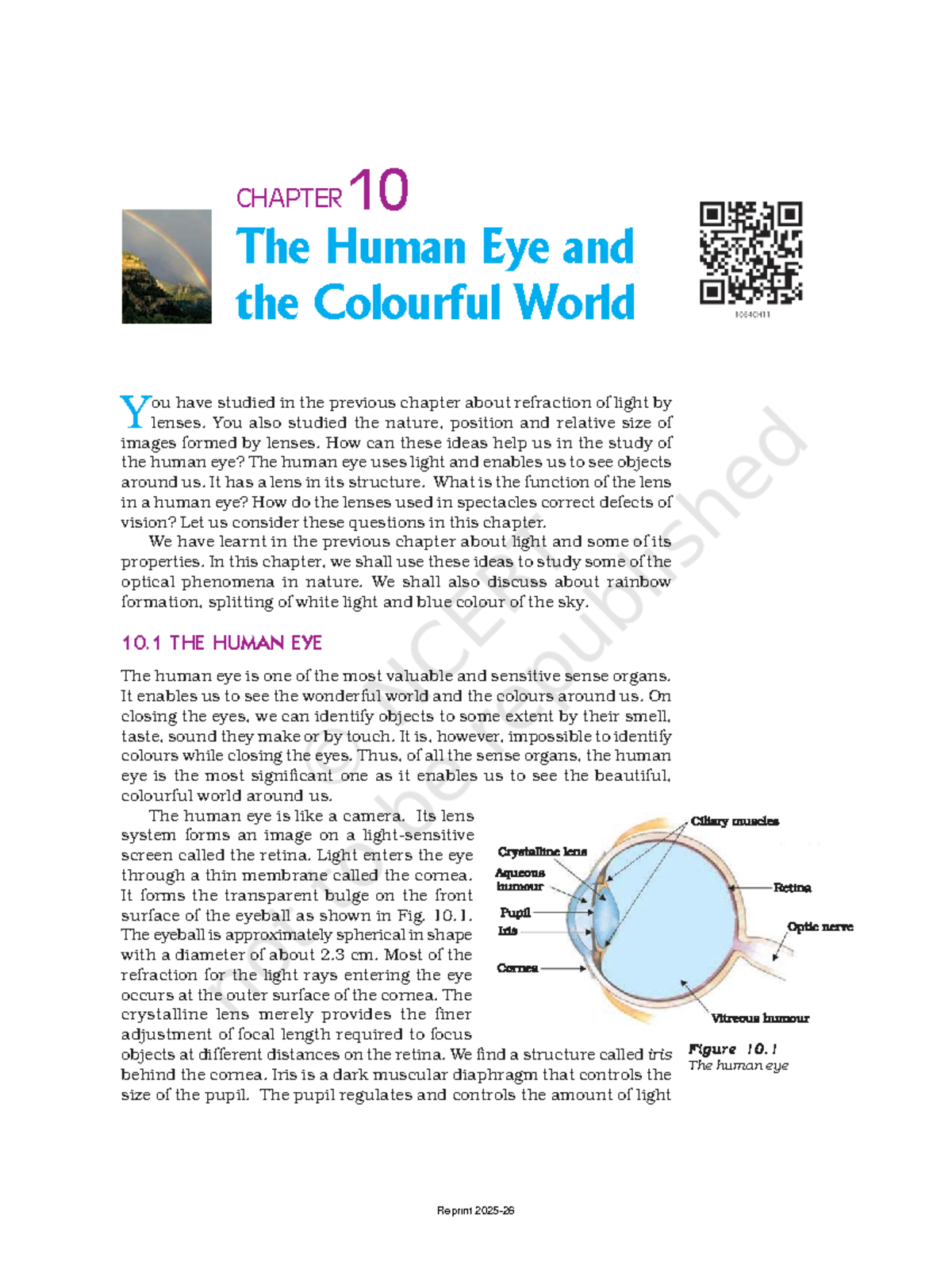 CHAPTER 10: The Human Eye and the Colourful World - Science 162 Notes ...