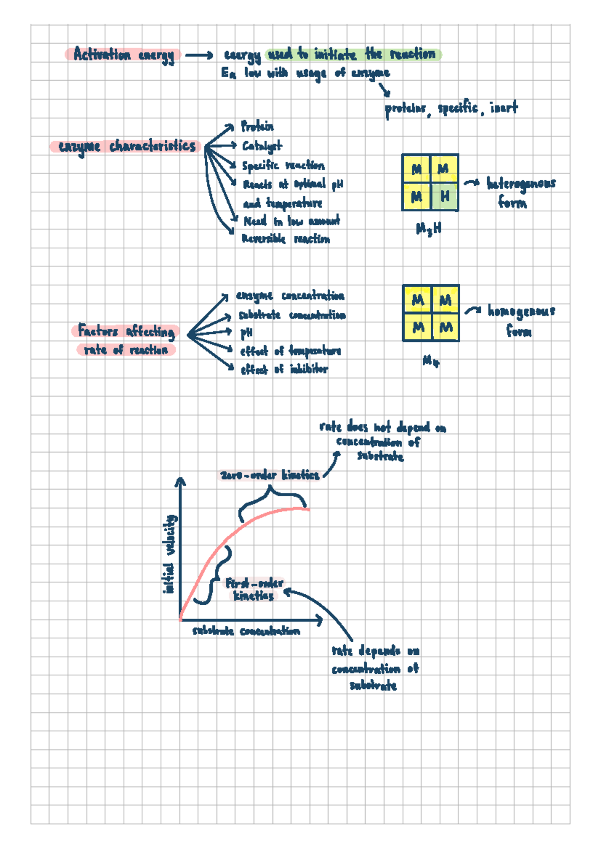 Enzyme kinetics - Summary Biochemistry - Activation energy energy used ...