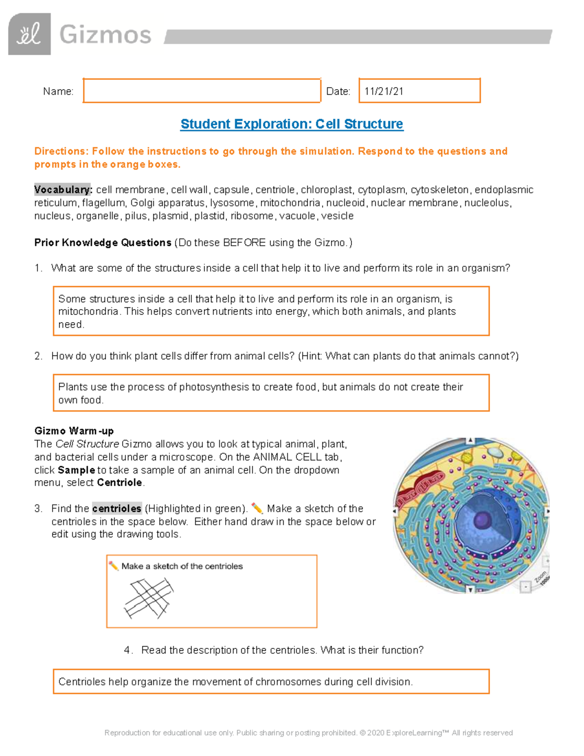Copy of Cell Structure Gizmo Exploration: Animal & Plant Cells - Studocu
