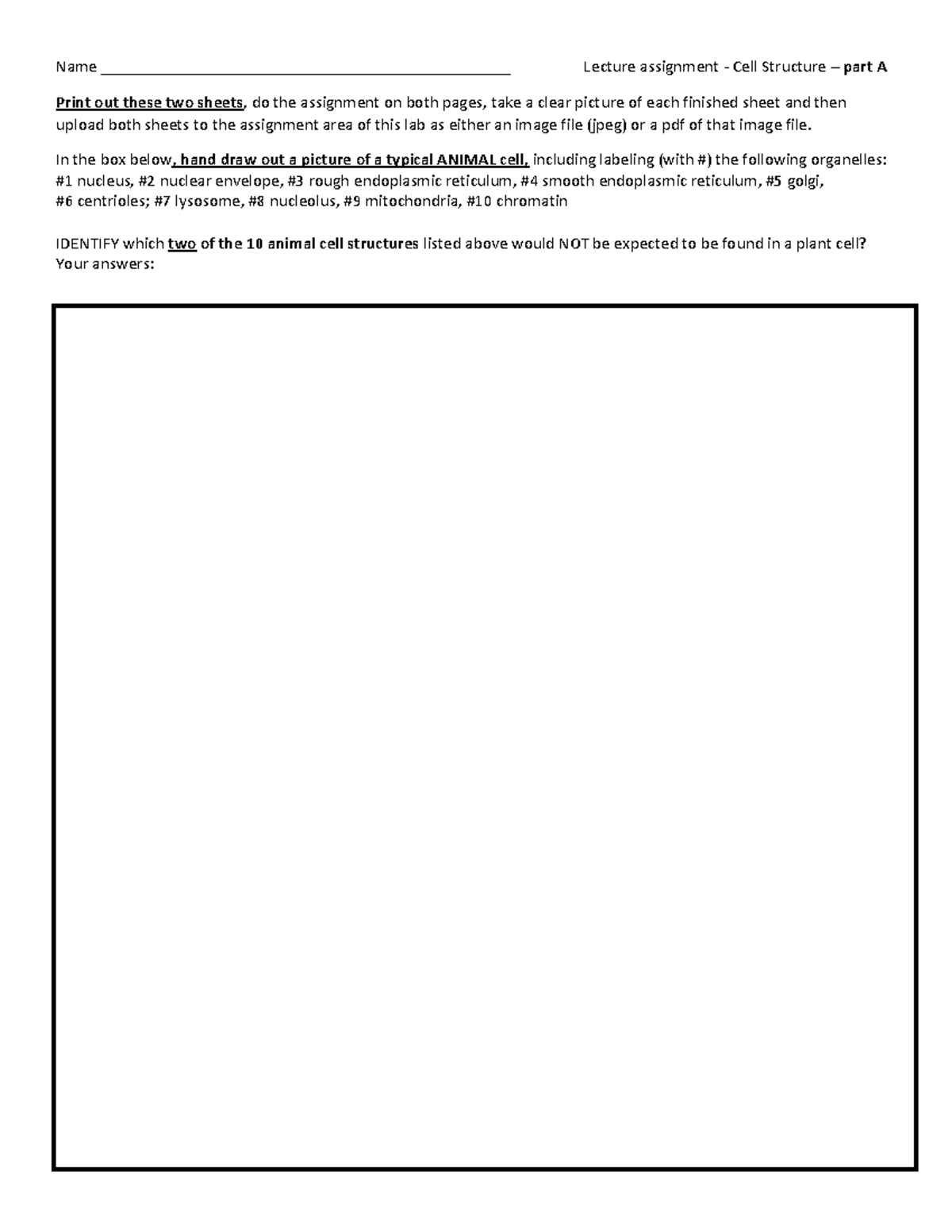BIO 101 Cell Structure Worksheet: Animal & Plant Cell Diagrams - Studocu