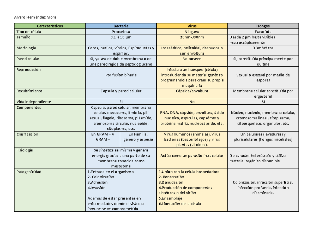 Cuadro Comparativo Virus Y Bacterias