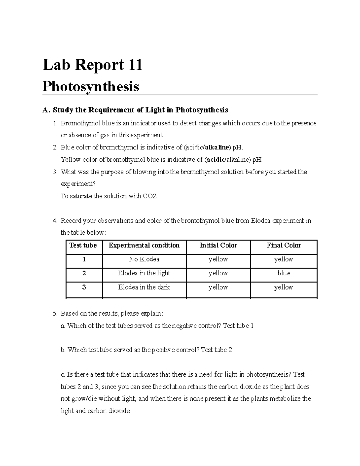 Lab 11: Photosynthesis - Light Requirements & Pigment Analysis - Studocu