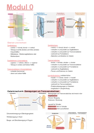 Anatomie der Arterien und Venen: Übersicht mit 43 Tabellen und 69 ...
