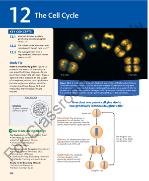 Campbell Chapter 13 - Meiosis and Sexual Life Cycle - Figure 13 The ...