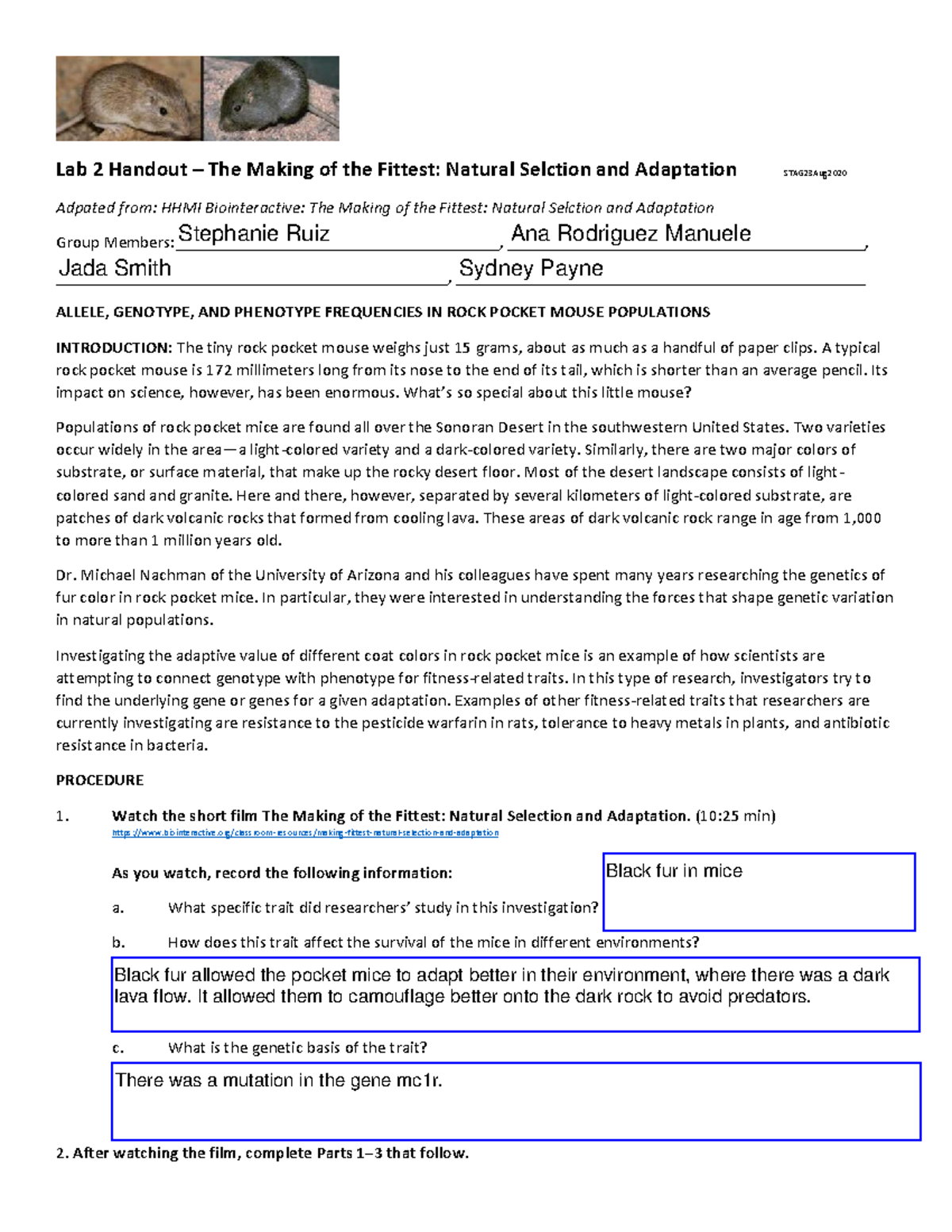 FF Lab 2: The Making of the Fittest - Natural Selection Worksheet - Studocu