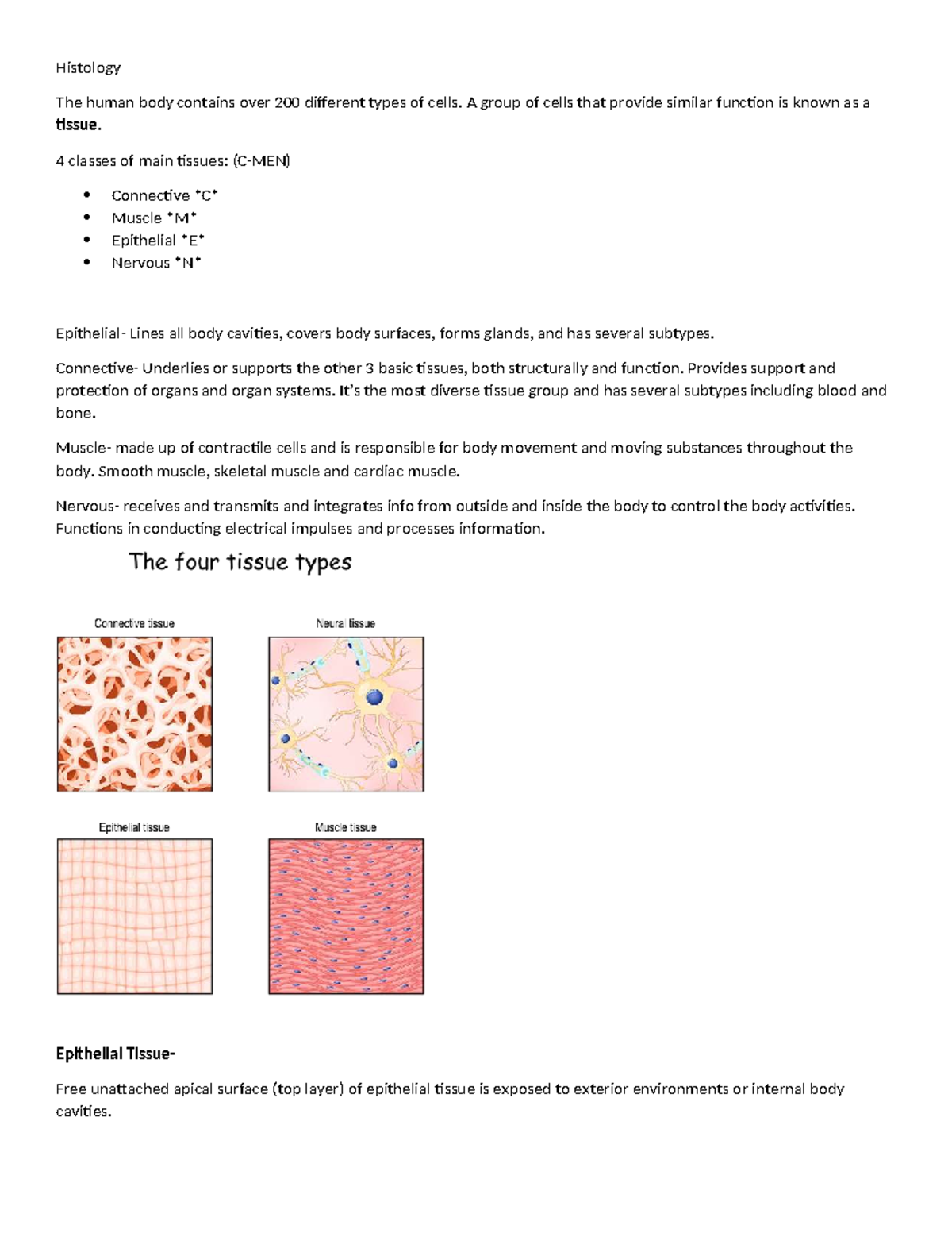 Histology Notes: Understanding Human Tissue Types and Functions - Studocu