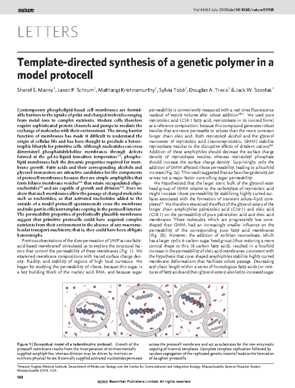 Template-Directed Synthesis of Genetic Polymer in Model Protocell (2008 ...