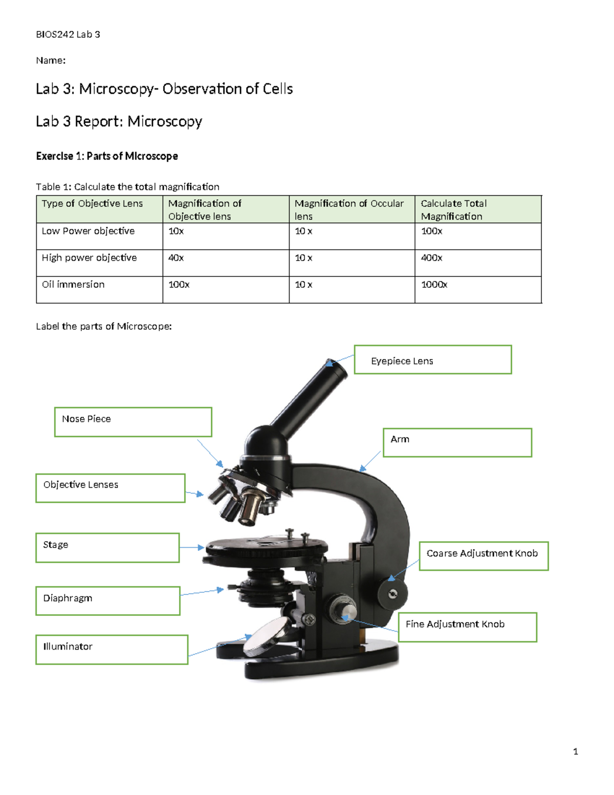 Lab 3 - Observation of cells - Name: Lab 3: Microscopy- Observation of ...