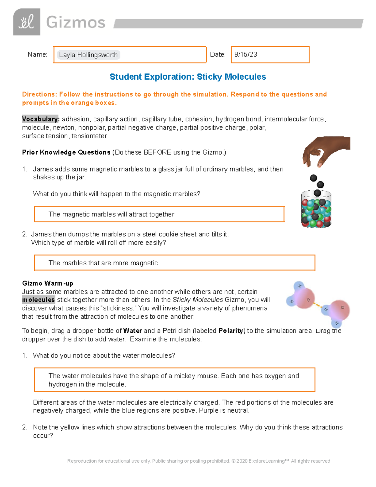 Exploring Polarity and Adhesion: Sticky Molecules Simulation (GIZMO) - Studocu