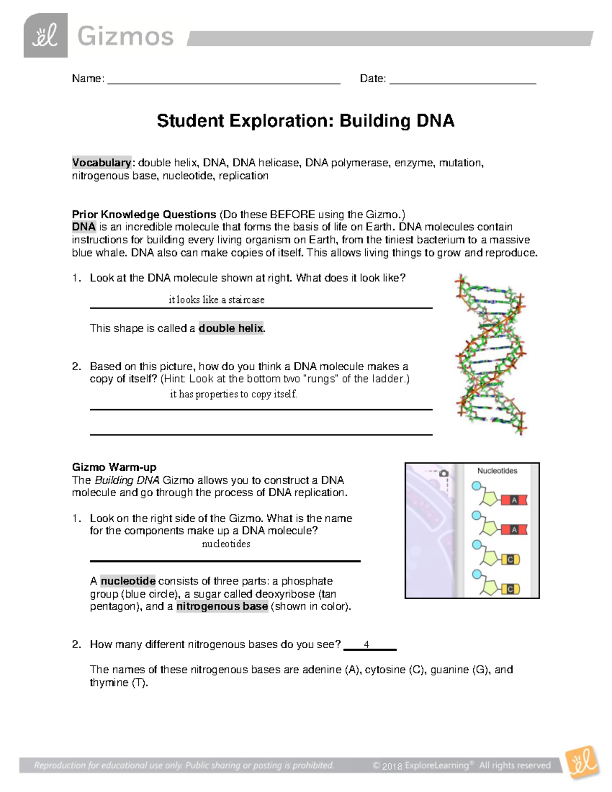 Building DNA Gizmo Answer Key - 2018 Student Exploration Guide - Studocu