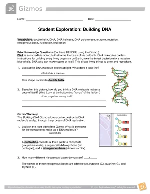 Mouse Genetics Gizmo: Two Traits Exploration Answer Key - Studocu