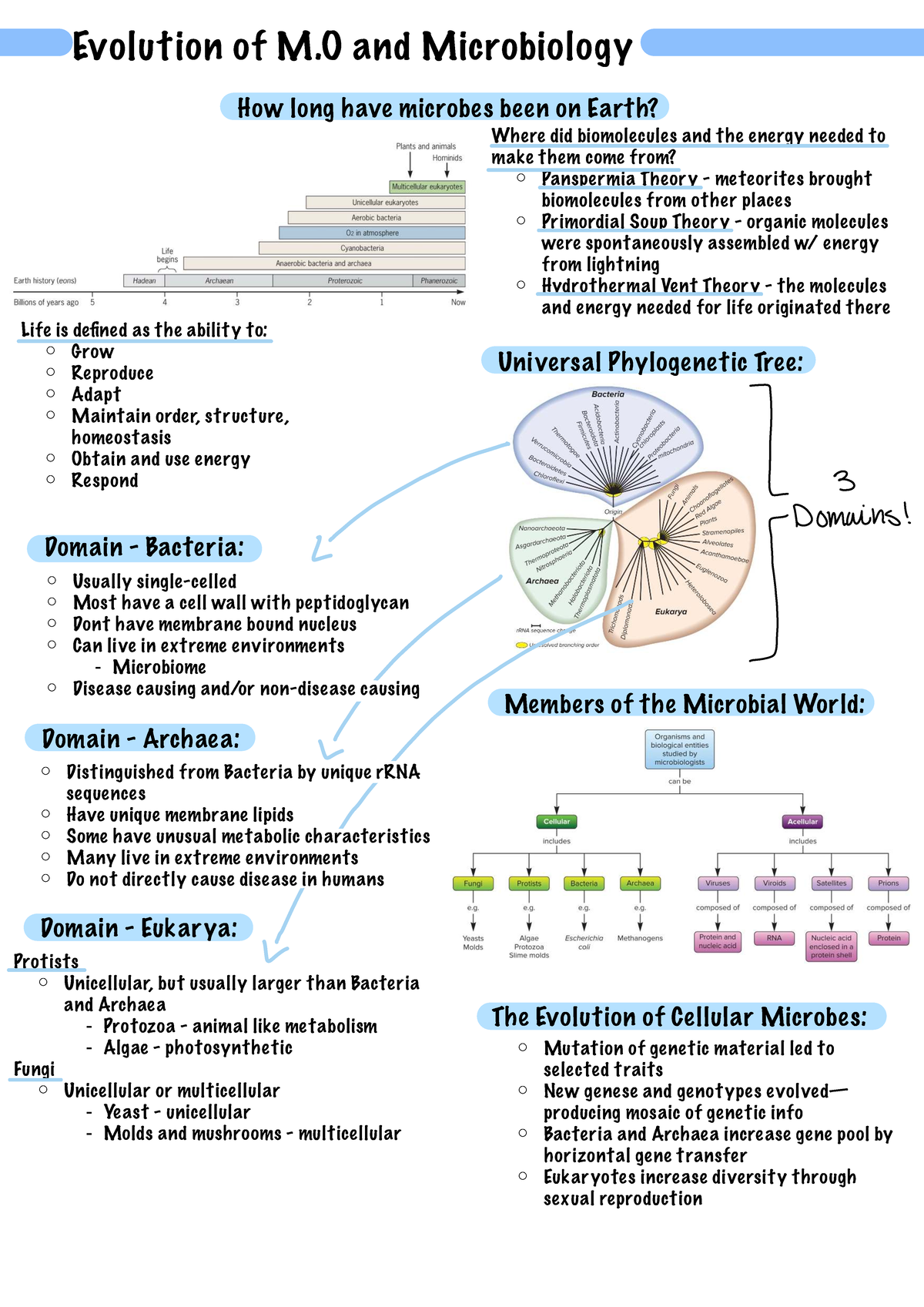 Evolution of M.O. and Microbiology: Insights into Cellular Life - Studocu