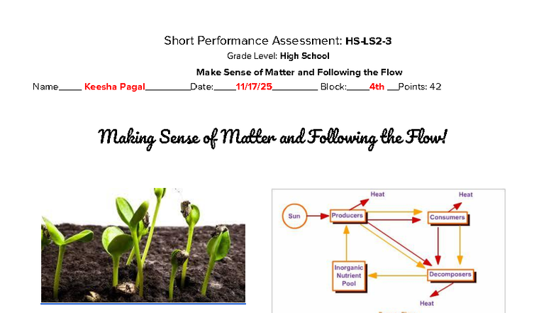 Keesha P HS-LS2-3 Performance Assessment: Energy Flow in Ecosystems ...
