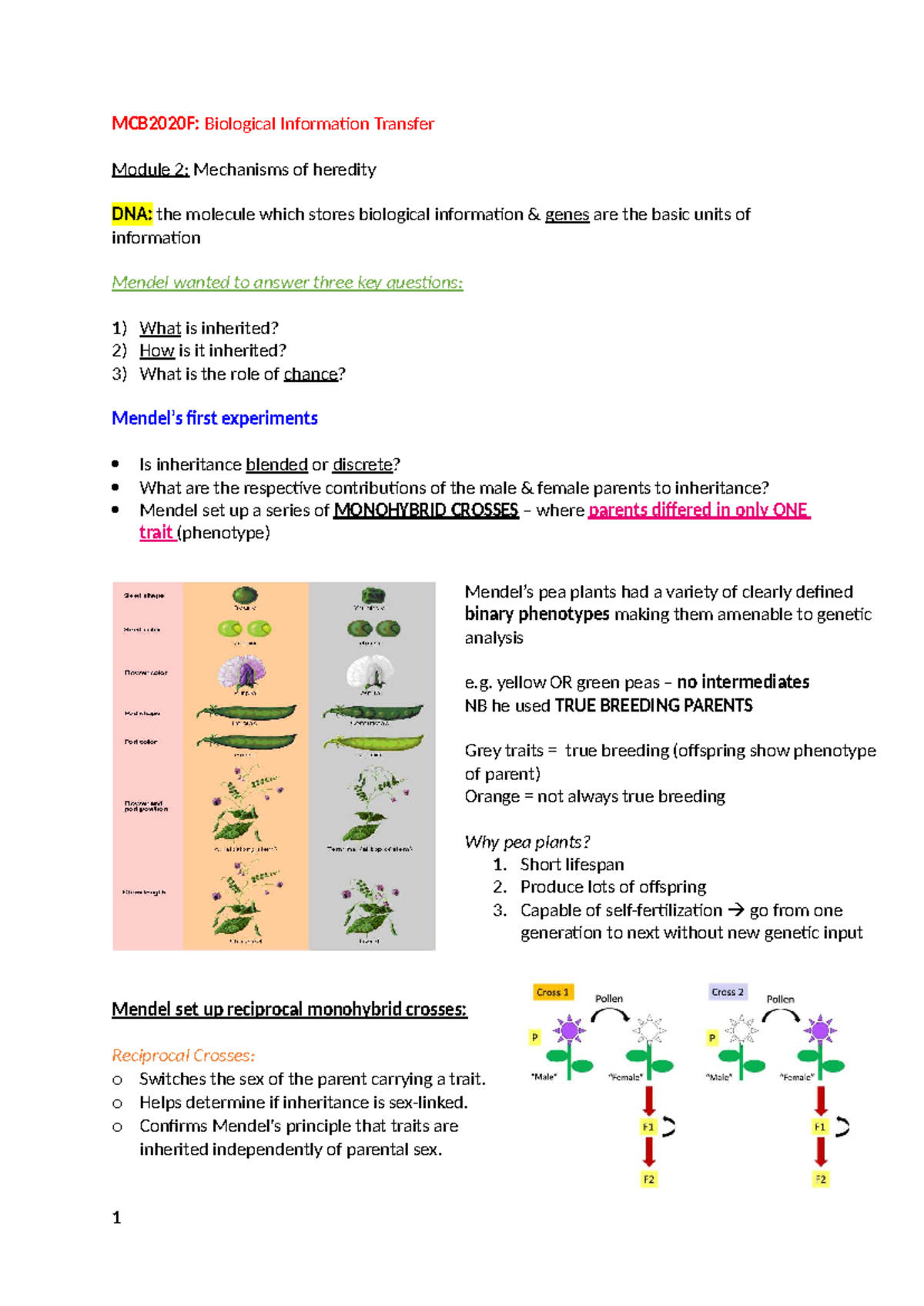 MCB2020F: Module 2 Heredity Mechanisms and Mendelian Genetics Notes ...