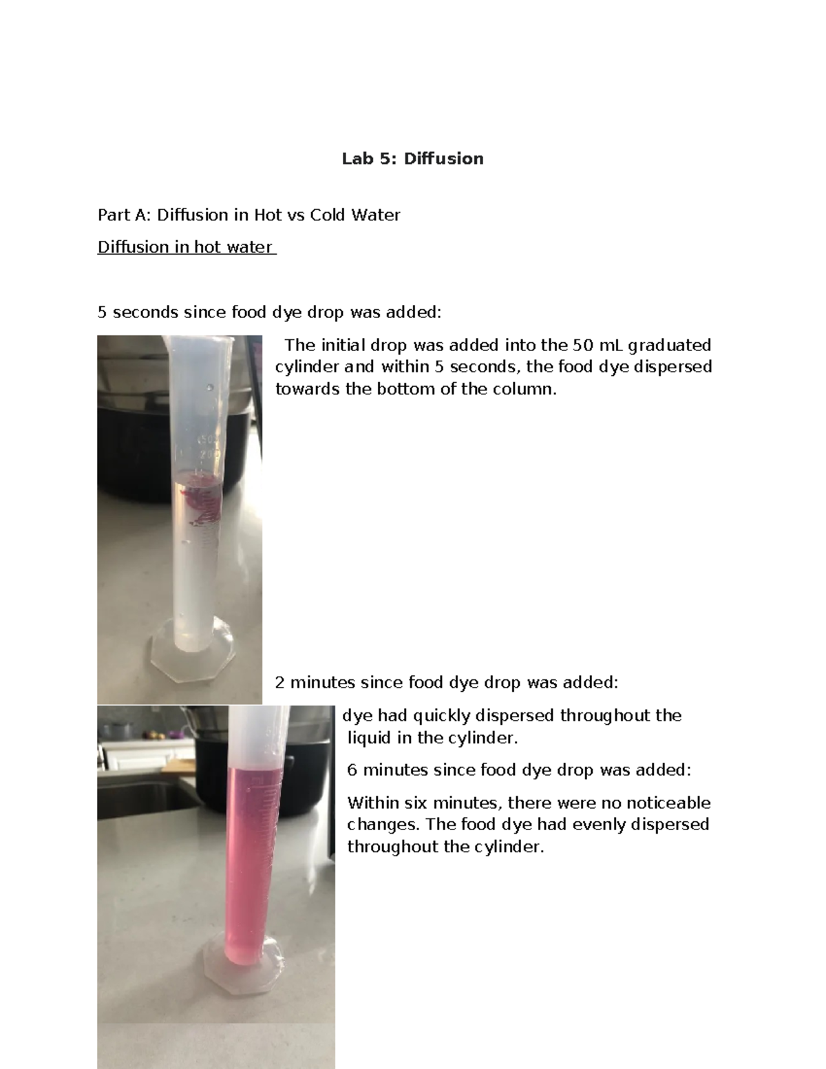 Phys 1080 Lab 5 Diffusion - Lab 5: Diffusion Part A: Diffusion in Hot ...