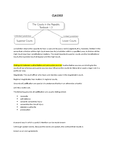CLA1503 - Unisa - Commercial Law - Studocu