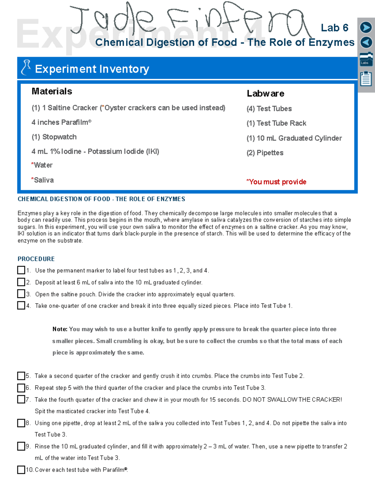 Lab6 Chemical Digestion and Swallowing - Introduction to Science ...