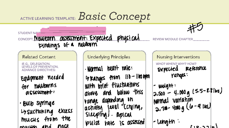 ACTIVE LEARNING TEMPLATE: Newborn Assessment Concepts (OB Mastery ...