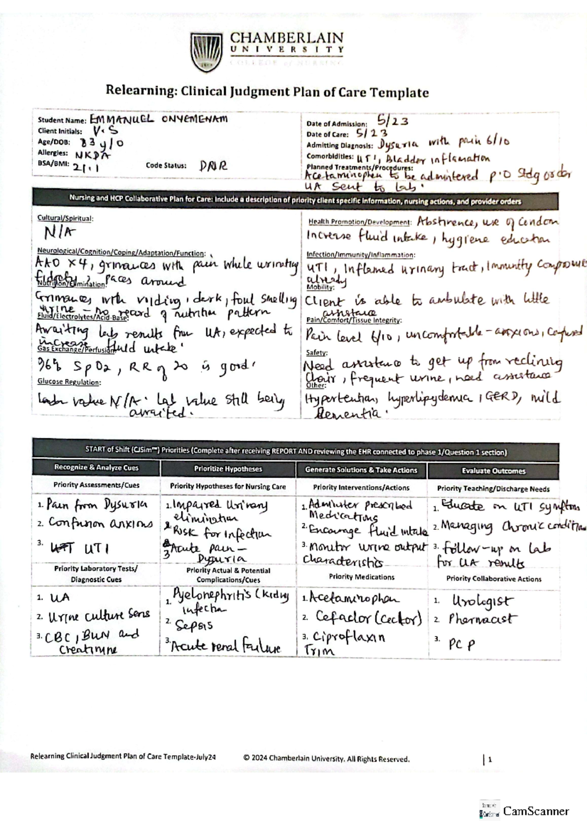 CJS 3118 Relearning: Clinical Judgment Plan of Care Template - Studocu