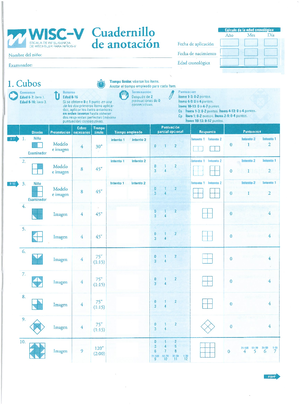 Conceptos Clave Nivel WISc-V - CONCEPTOS CLAVE PARA EL ANÁLISIS DE ÍNDICES DE WISC-V, BASADO EN ...