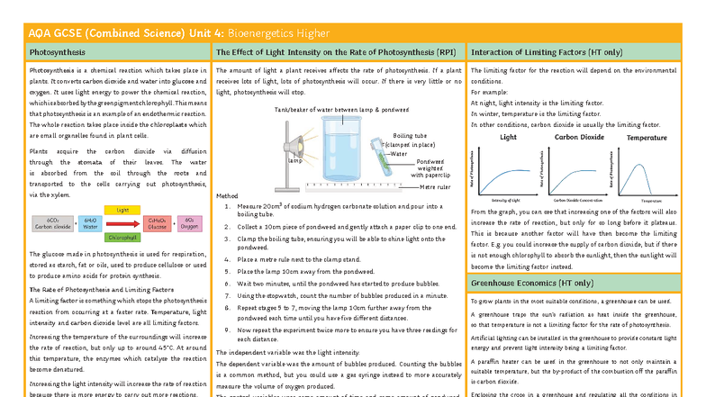 AQA GCSE (Combined Science) Unit 4: Bioenergetics - Photosynthesis ...