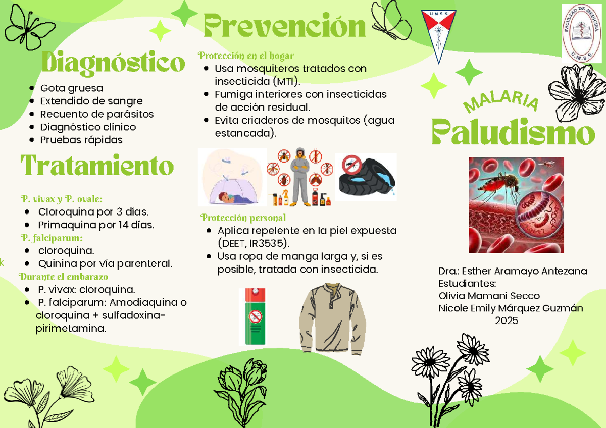 Prevención y Diagnóstico del Paludismo (Malaria) - CICLO DE VIDA y ...