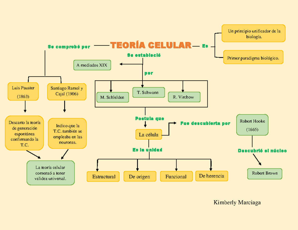 Mapa conceptual de La Teoría Celular - TEORÕA CELULAR Es Se estableciÛ ...