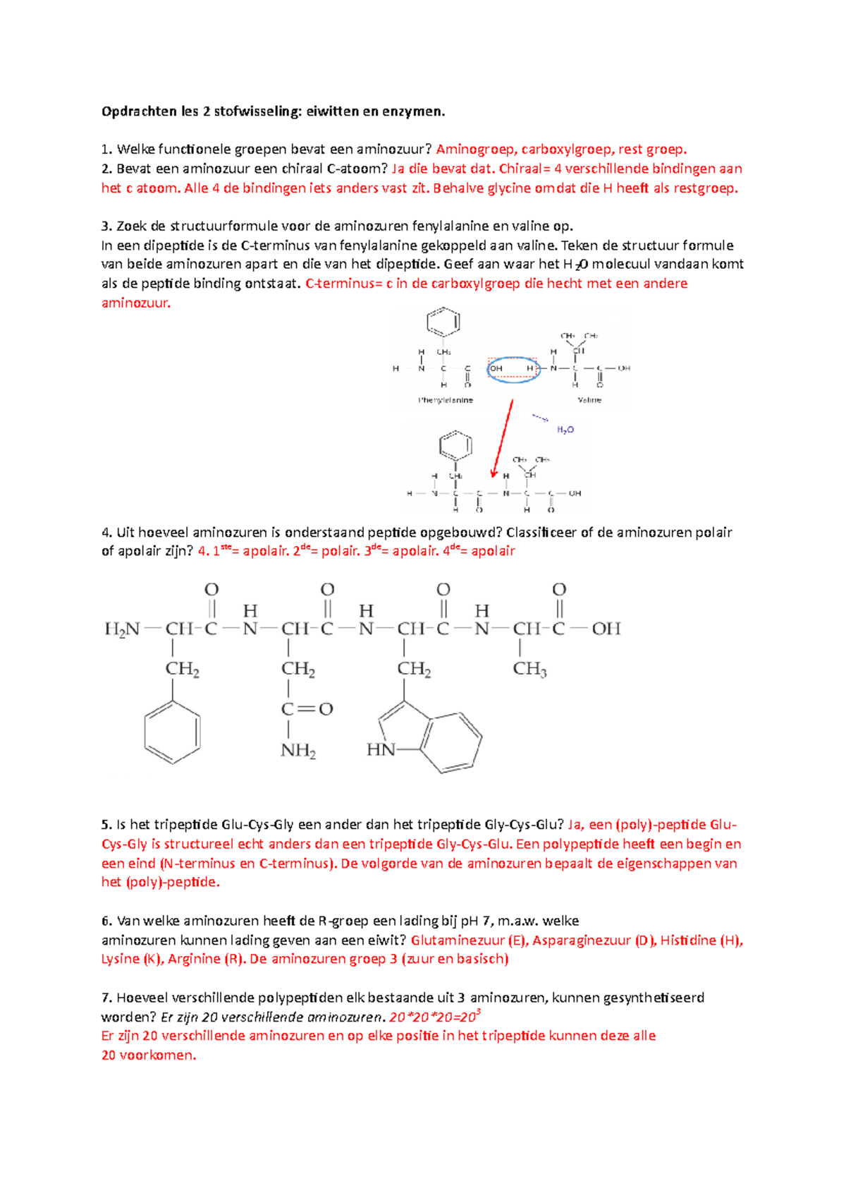 Opdrachten Les 2: Eiwitten en Enzymen 2020-2021 - Studeersnel