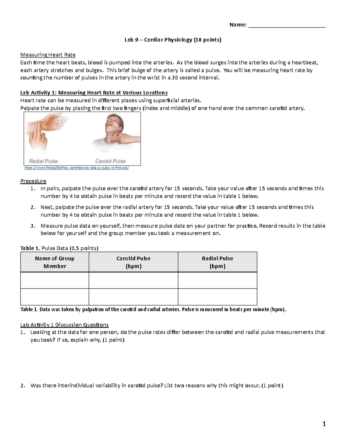 HHP:1310 Lab 9 Worksheet - Cardiac Physiology & Heart Rate Measurement ...