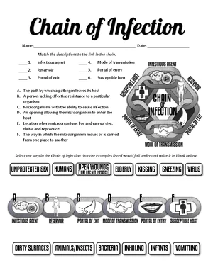 Chain of Infection Worksheet Printable 01 27 - Tips and Instructions ...