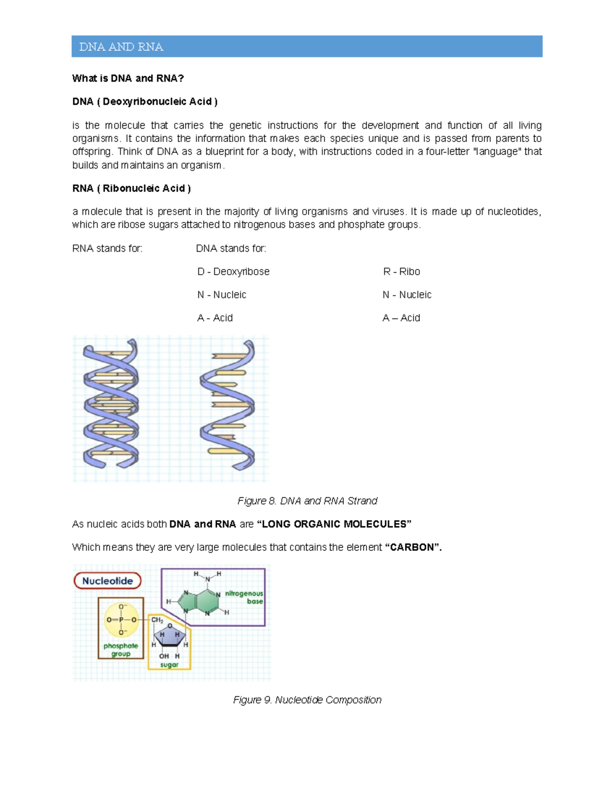 DNA and RNA Structure: Understanding Their Roles in Genetics - Studocu