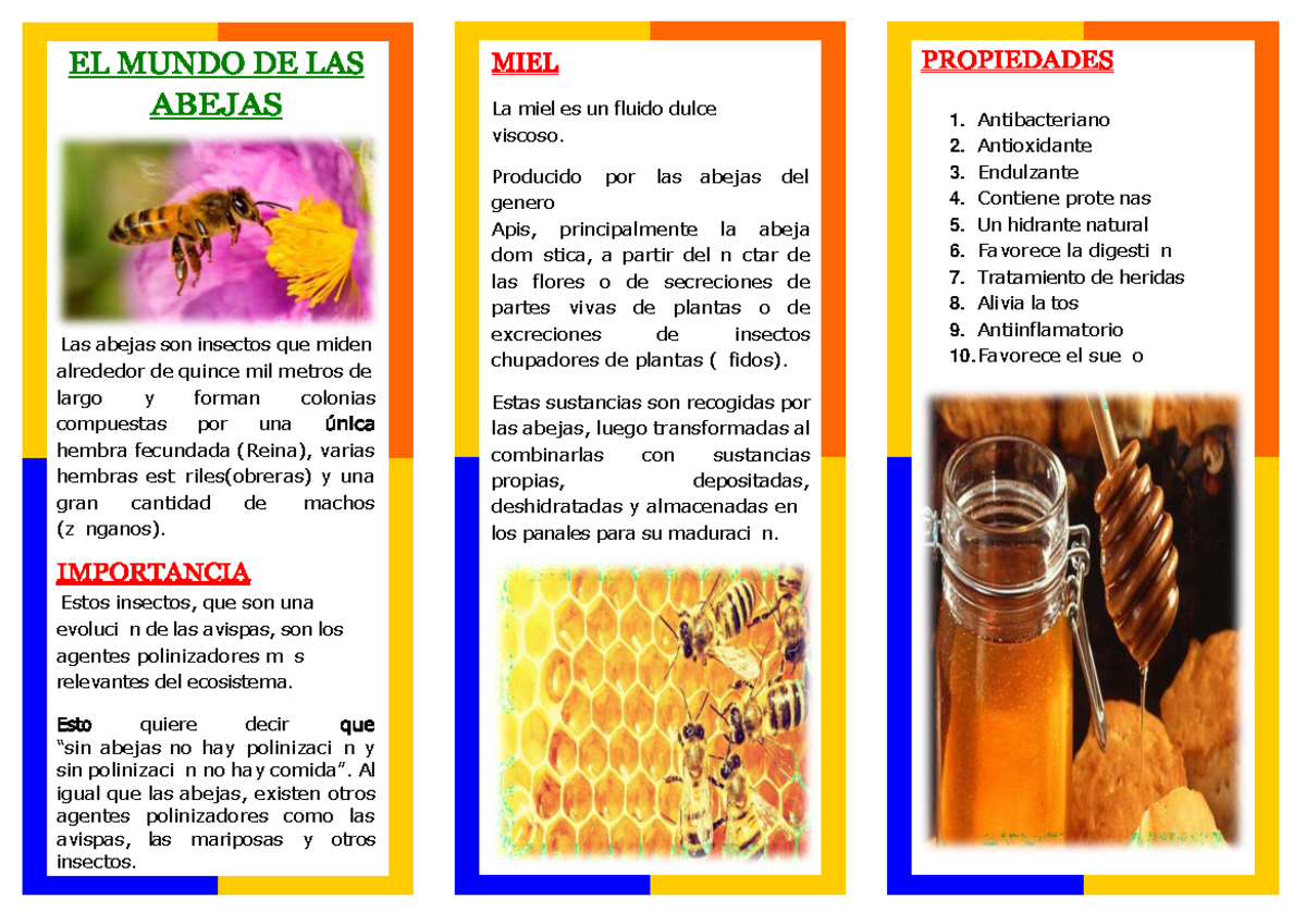Tríptico sobre La Miel: Propiedades y Beneficios - Studocu