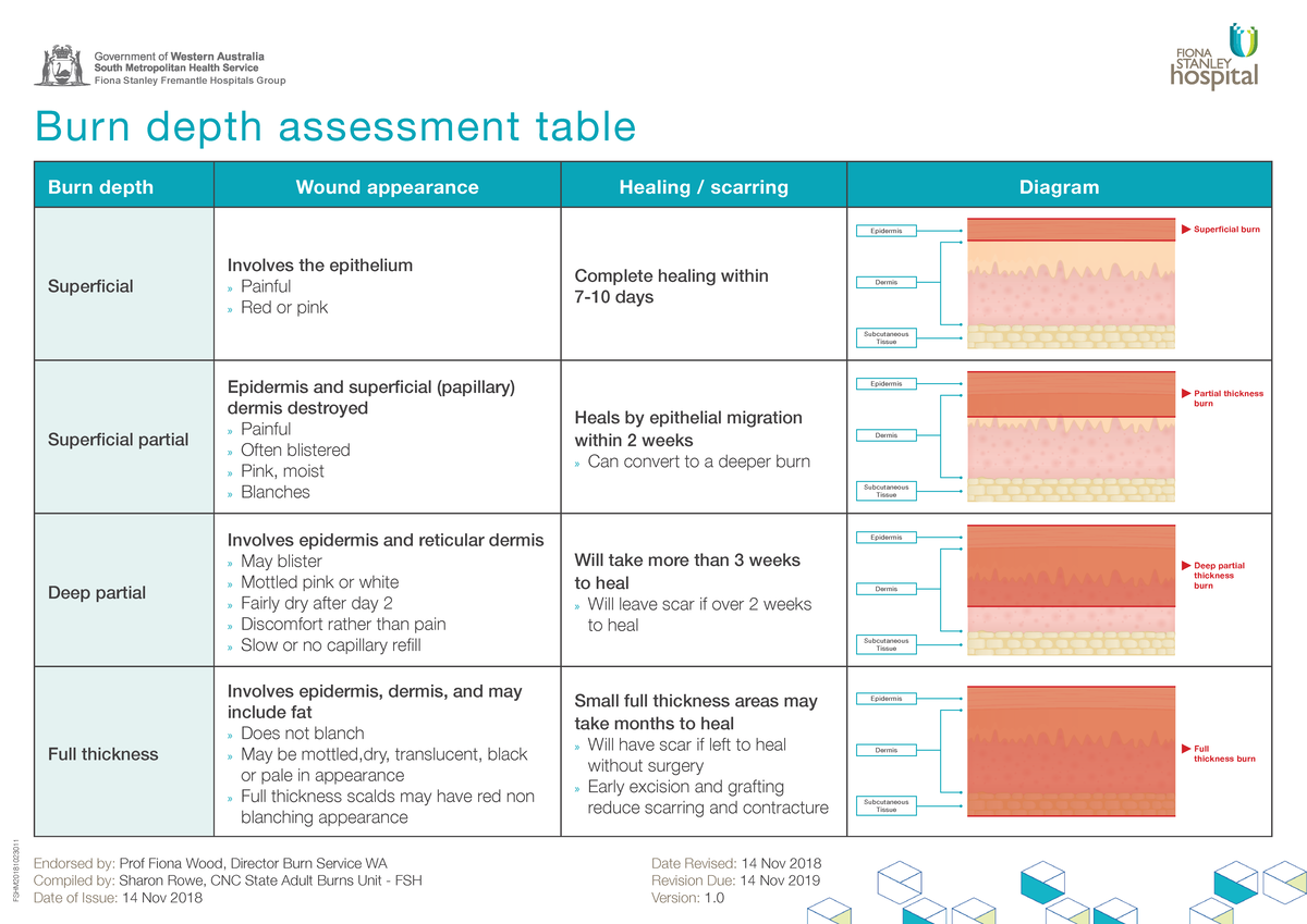 FSHM20181023011 Burn Depth Assessment Table and Healing Guide - Studocu