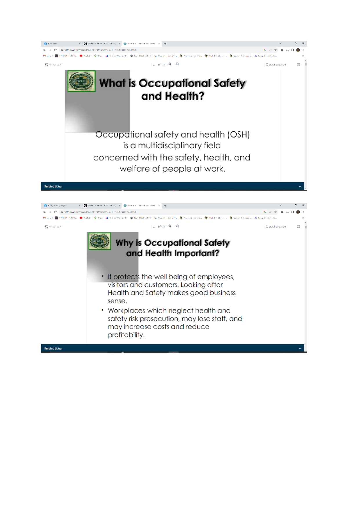 Module 1 - OHSP - Bachelor of Science in Business Administration - Studocu