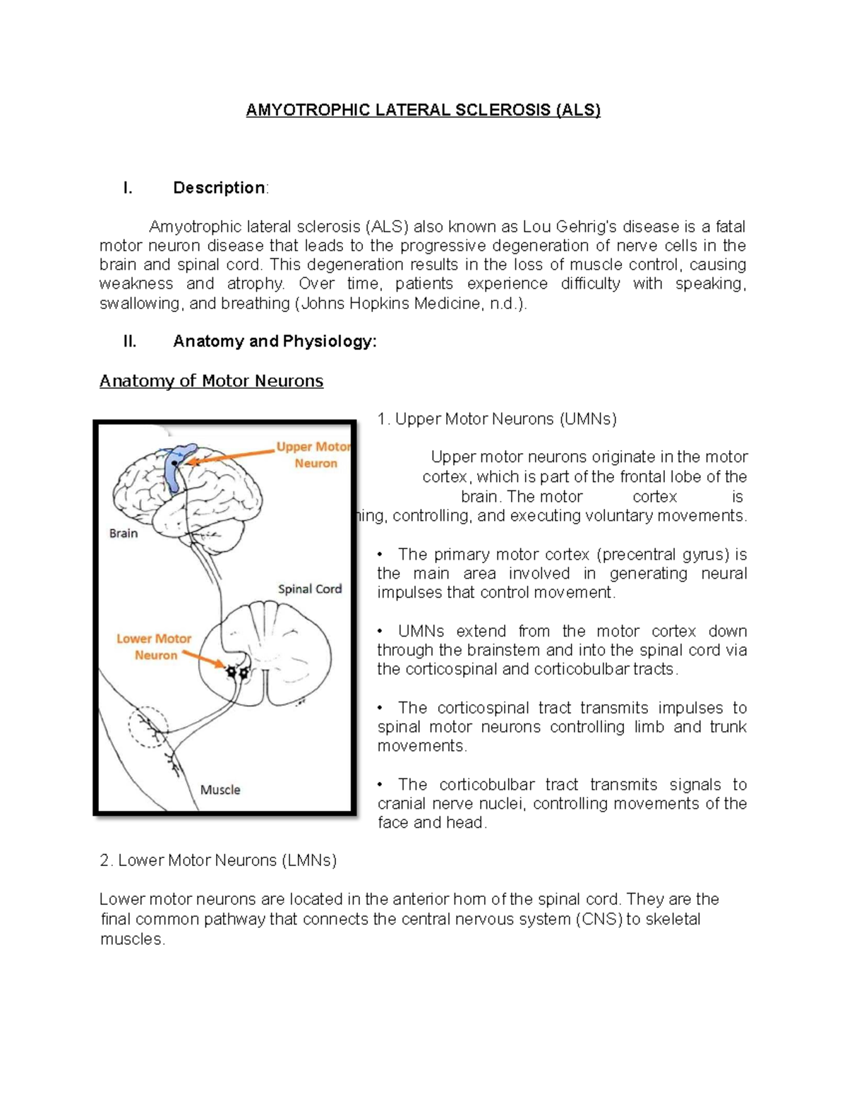Neuro Assignment - Case Analysis of ALS, Palsy, and Trigeminal Neuralgia - Studocu