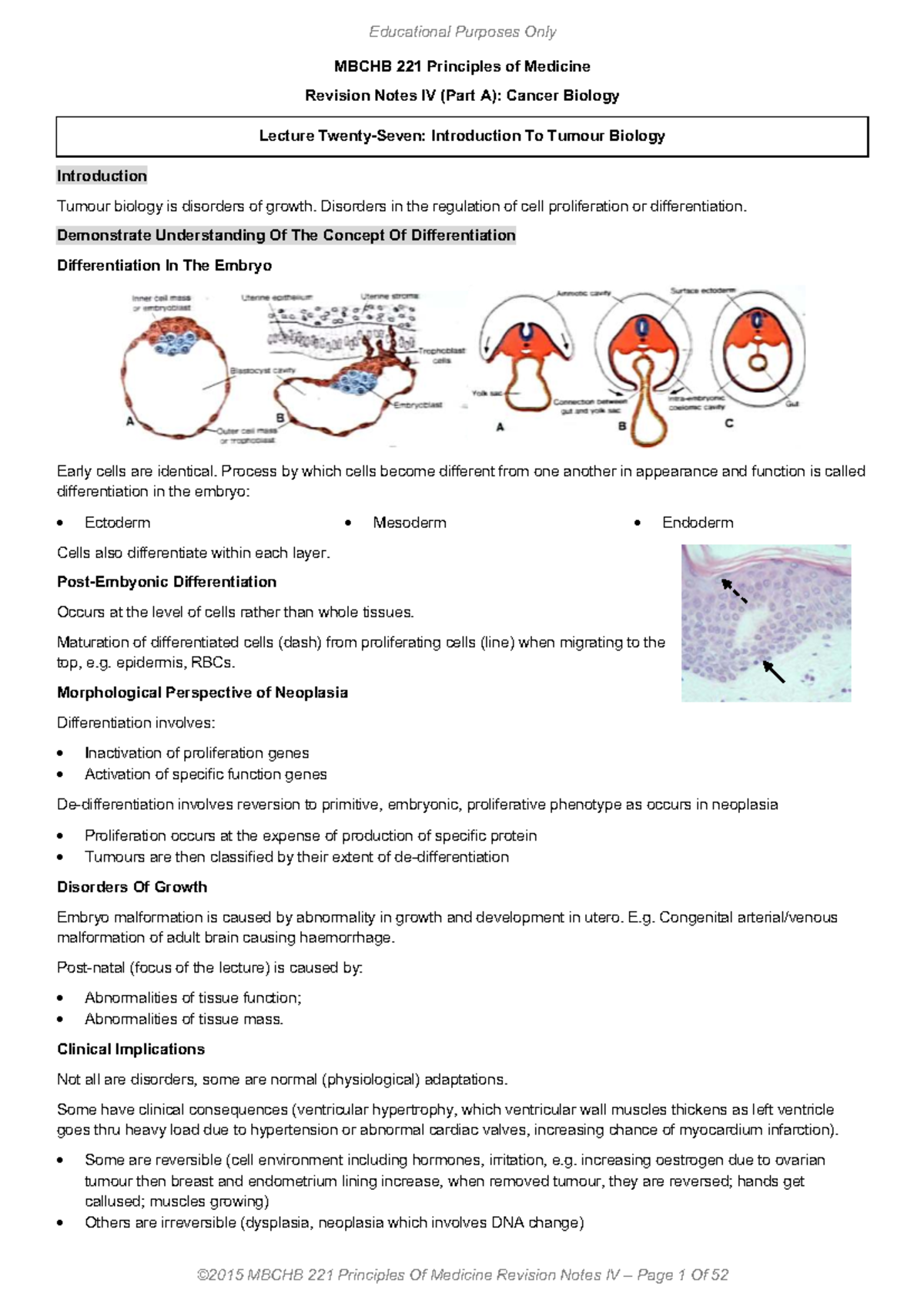 MBCHB 221 Principles of Medicine Revision Notes IV: Cancer Biology ...