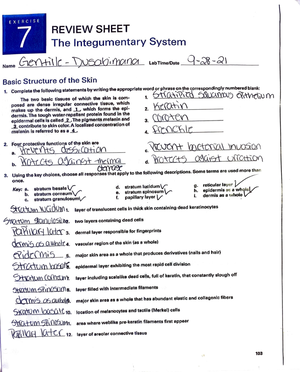 Medical Terminology Lab Activity - Chapter 12 - 12 Handout 12. Eye ...